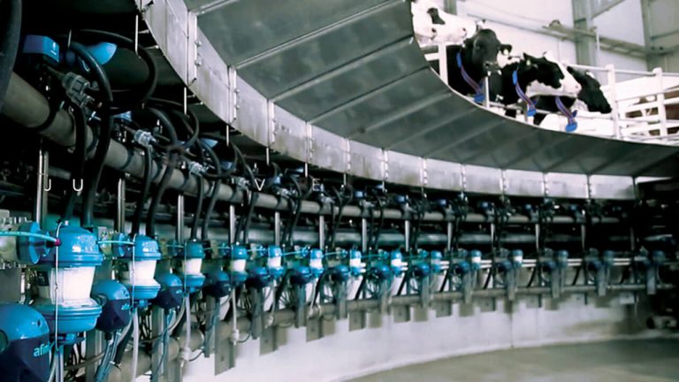 KNOWLEDGE CENTER | afimilk