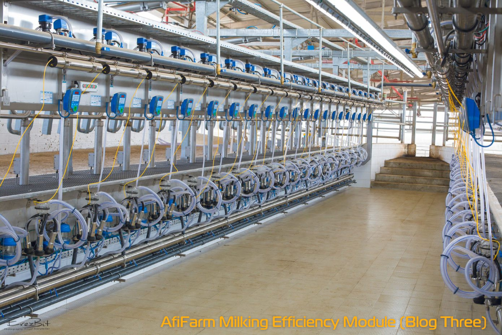 Afi2Go: A Paperless Farm is an Efficient Farm | Afimilk