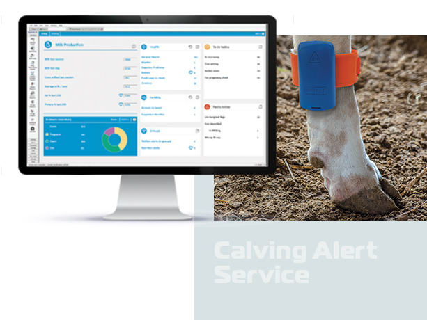 AfiFarm - ultimate tool for dairy farm management | AFIMILK