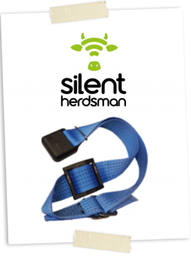 About Afimilk: Our Story and Vision | Afimilk