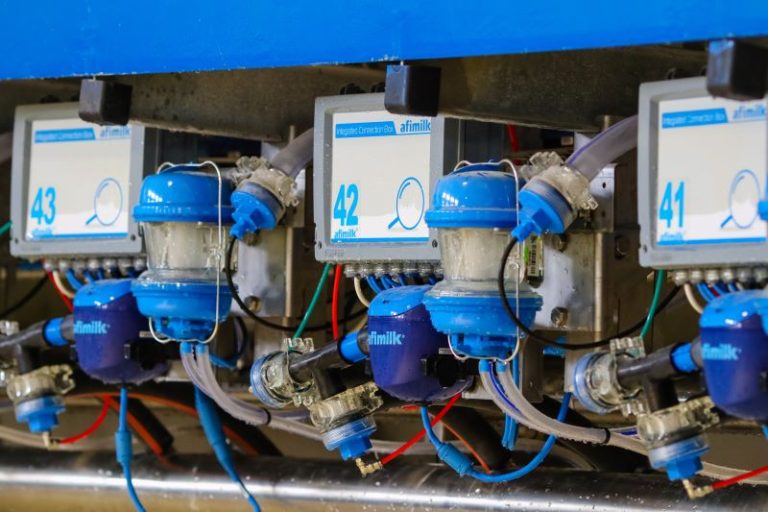 Mastitis detection and the proper use of conductivity | Afimilk