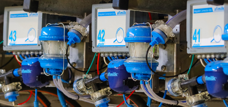 Unlocking the Hidden Value in Your Milk Parlor | Afimilk