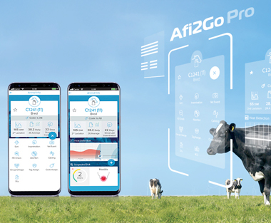 Advanced Dairy Management Solutions | Afimilk