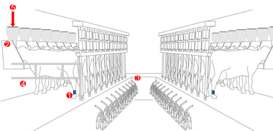 AfiFeed in Parallel and Herringbone Parlors