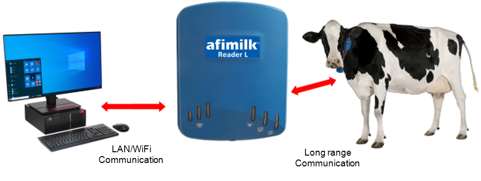 Introduction to Your Tags